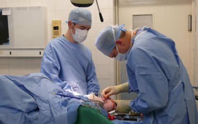 Surgery and Anaesthesia | Prospect House Vets